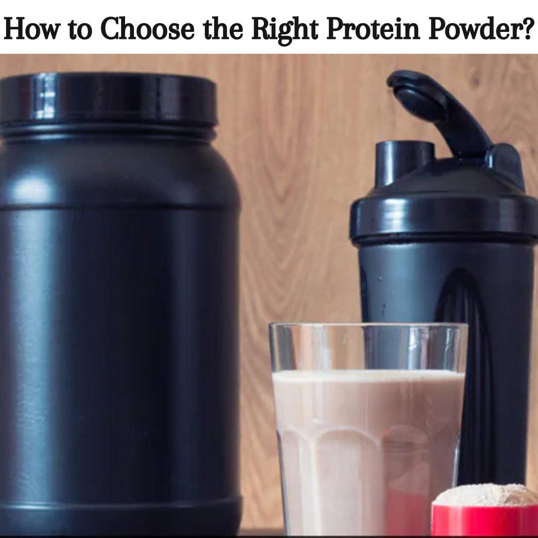 How to Choose the Right Protein Powder for Yourself? – Osoaa