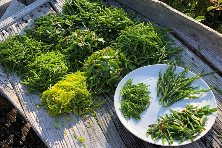 Sea Vegetables (Edible Seaweed): Types, Benefits, and How to Add Them ...